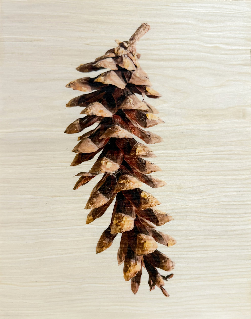 “Symmetry” – Gallery Jupiter